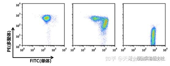 实验干货|如何用线粒体膜电位(JC-1)法做好细胞凋亡检测 - 知乎