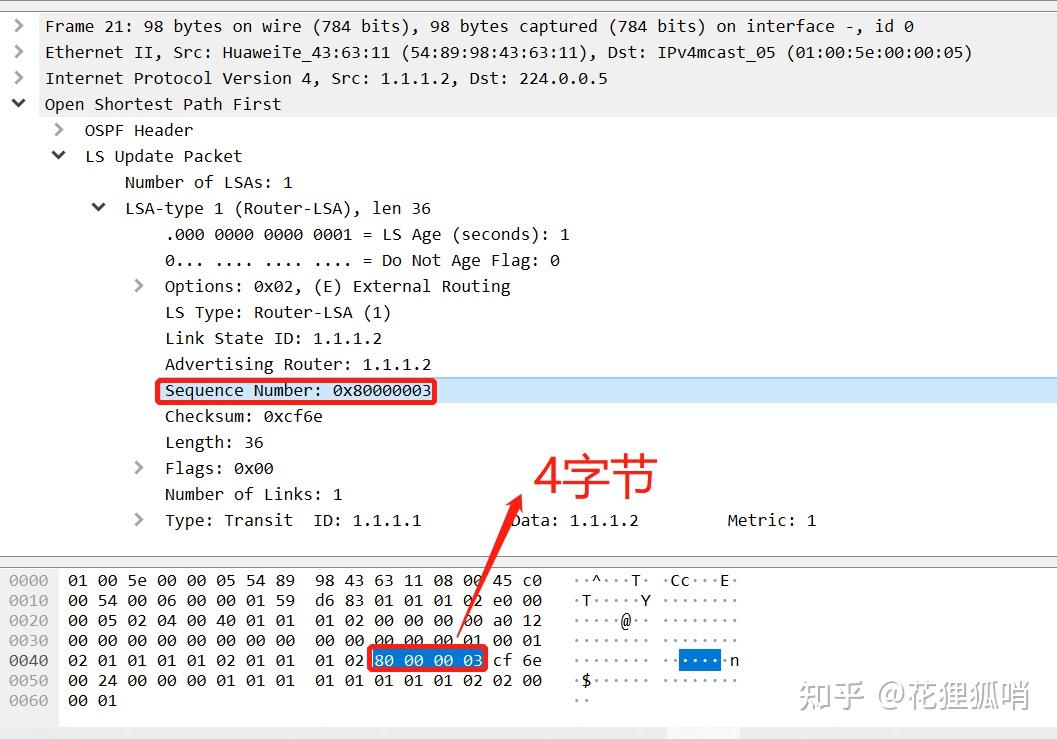 OSPF LSA报文格式总结 - 知乎