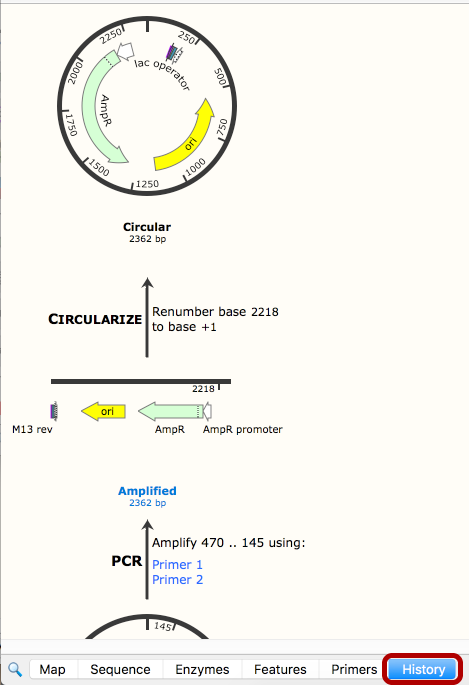 SnapGene操作指南 | 反向PCR - 知乎