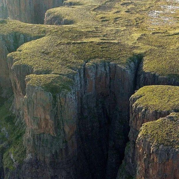 24年官方版! 面板向量自回归模型Panel VAR全面解读, 实例及code, 非常规范真的太好用了 - 知乎