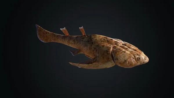 人是鱼进化来的？曲靖师院以第一作者单位在《Nature》同时发表3篇论文“从鱼到人”探源研究取得重大突破 - 知乎