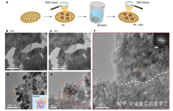 Nature：原位TEM，看见晶体生长！ - 知乎