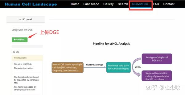 Nature | 人类细胞蓝图（HCL）数据库 - 知乎