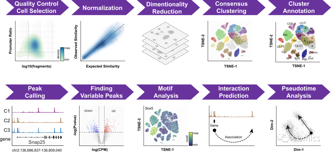 有一定scRNA-seq基础，如何入门scATAC-seq? - 知乎
