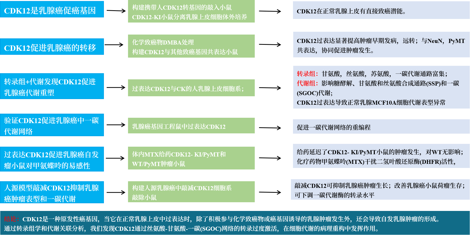 Nat Commun | 转录组+代谢组解析经典靶点CDK12致癌机制 - 知乎