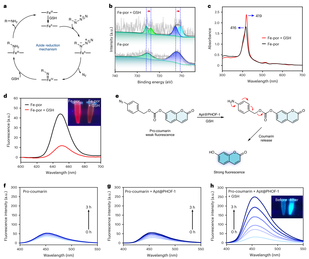 生物正交化学新突破！曲晓刚团队最新Nature Catalysis - 知乎