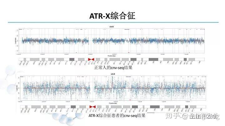 CNV数据分析 - 知乎