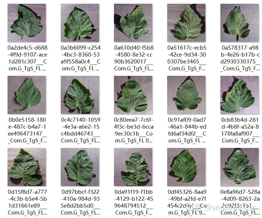 公开数据集合：农作物、农业相关的数据集合 - 知乎