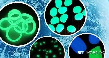 BHQ-2 biotin，暗猝灭剂偶联生物素BHQ-1/3-昊然 - 知乎