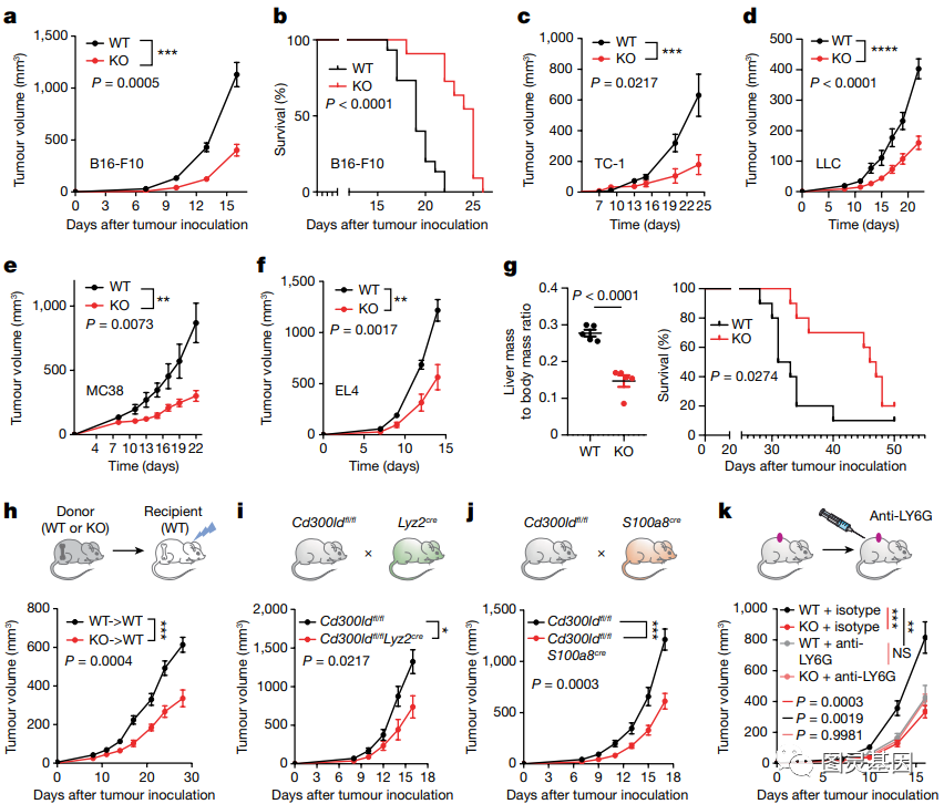 Nature | 复旦大学团队发现免疫治疗新靶点CD300ld - 知乎