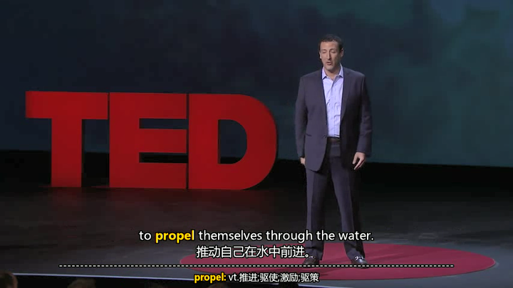 TED演讲集 TED视频打包下载（MP4+中英字幕+演讲稿） TED中英文对照字幕视频 TED演讲稿 1984-2021全集 - 知乎