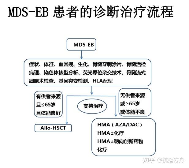 都是诊断的MDS，为什么治疗方案不一样呢？ - 知乎
