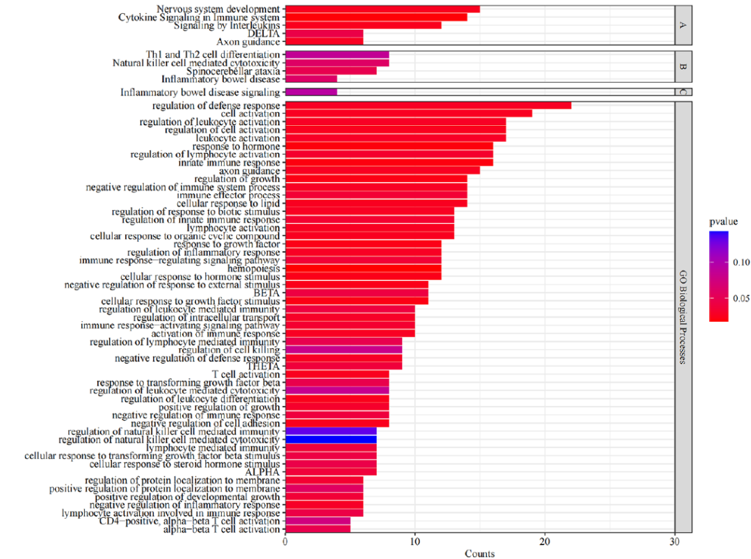 R可视化Metascape富集分析结果 - 知乎