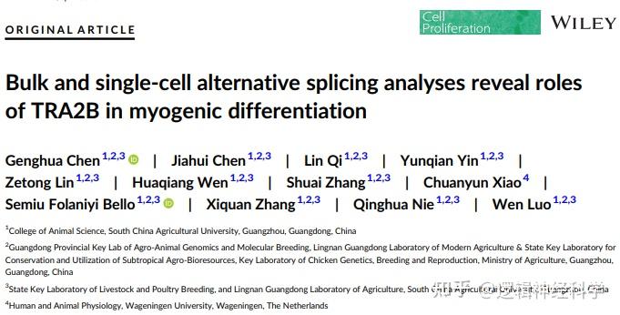 Cell Prolif︱华南农业大学团队揭示肉鸡体外肌纤维形成过程的可变剪接动态以及TRA2B的剪接调控作用 - 知乎
