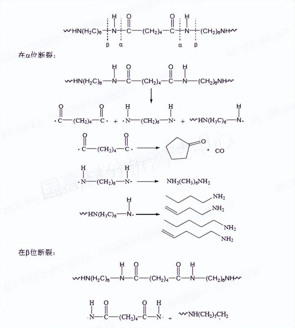 汽车及电子电器用PA66/PA6合金裂解气相色谱-质谱法定性定量分析 - 知乎