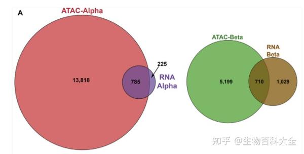 ATAC-seq联合RNA-seq思路分享 - 知乎