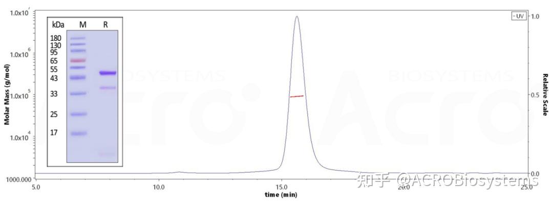 Latent GDF-8：助力肌肉与骨骼疾病药物开发 - 知乎