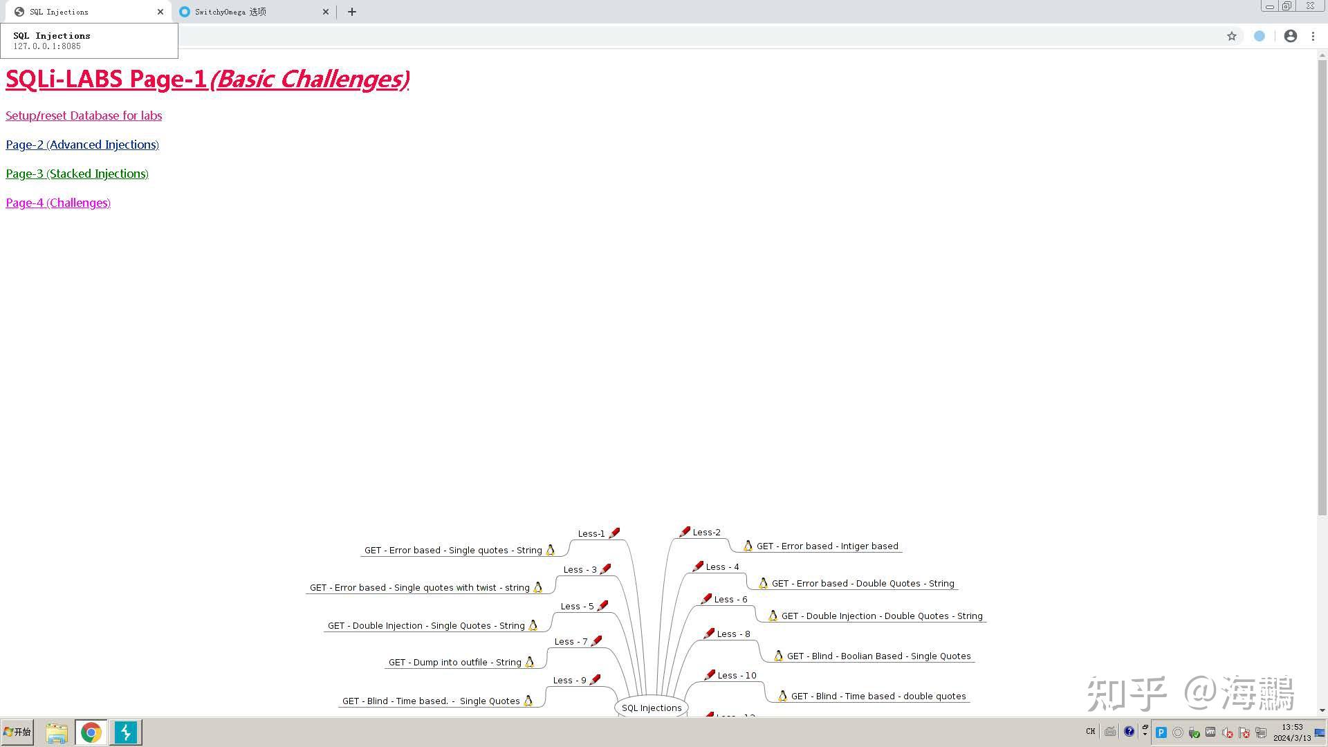 揭秘Brup Suite轻松捕捉本地数据包技巧，127.0.0.1/localhost域名（地址）抓包方法，chrome与edge抓包失败原因 ...