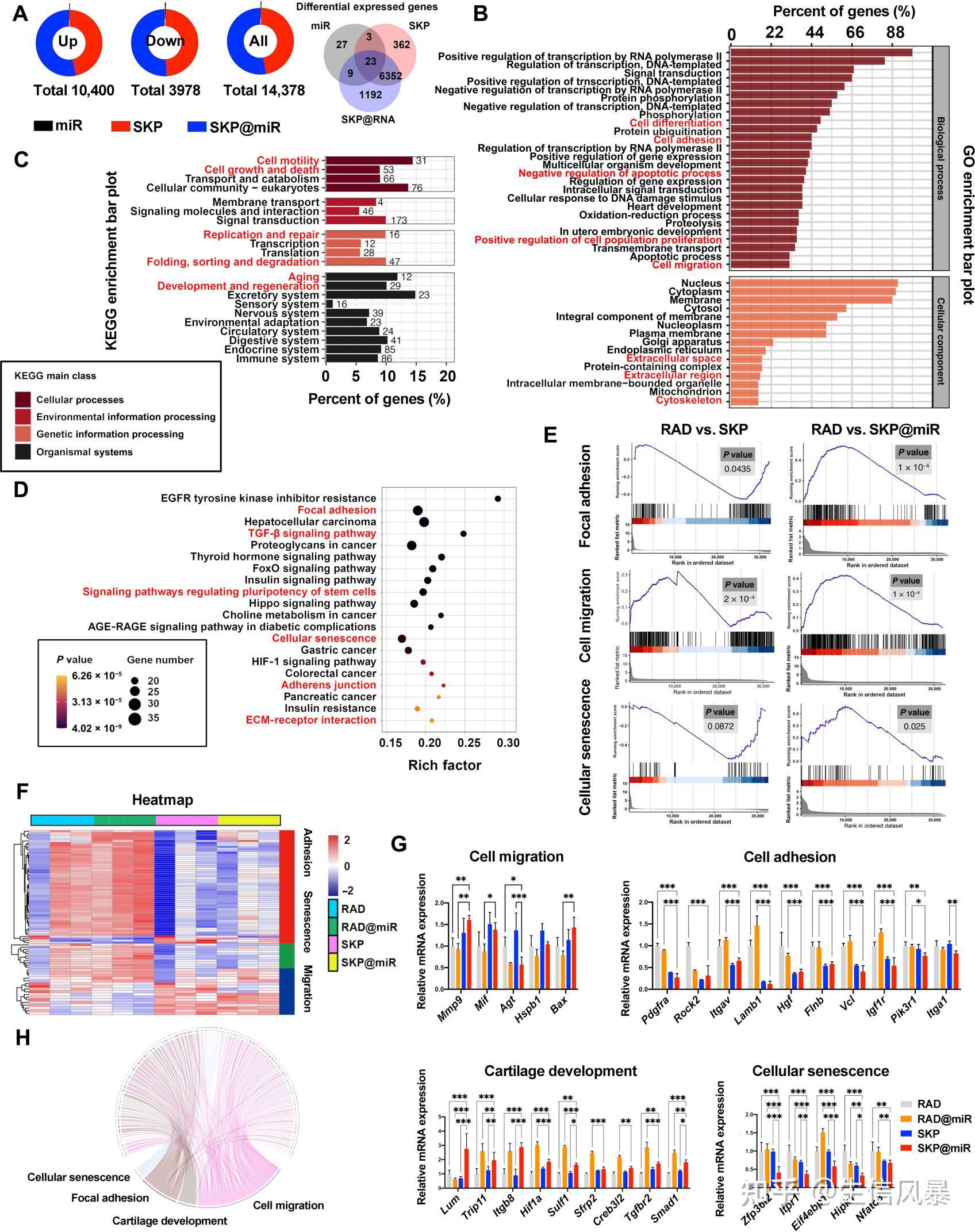 Science:miR-29b-5p通过抑制衰老促进软骨再生 - 知乎