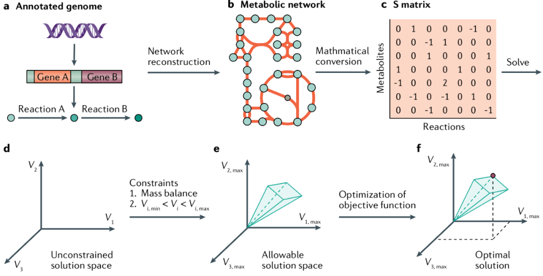 Nat Rev | 计算机重建生物：基因组层面的模型应用 - 知乎