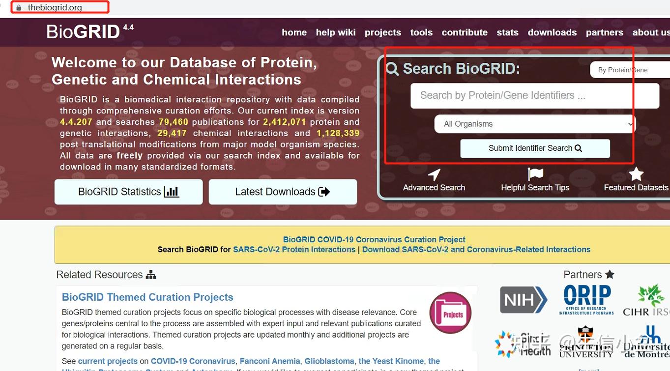某个基因蛋白质Domain Analysis结构域，Protein-Protein Interactions蛋白质相互作用，GO ...