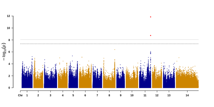 重测序分析（15）GWAS分析实操（1）gwas_emmax - 知乎