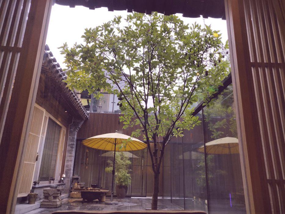 北京哪里有不错的茶馆，适合交流茶文化喝喝茶的地方推荐？ - 知乎