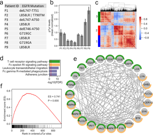 文献解读 | FFPE 样本磷酸化蛋白组学分析揭示肿瘤特异性信号网络 - 知乎