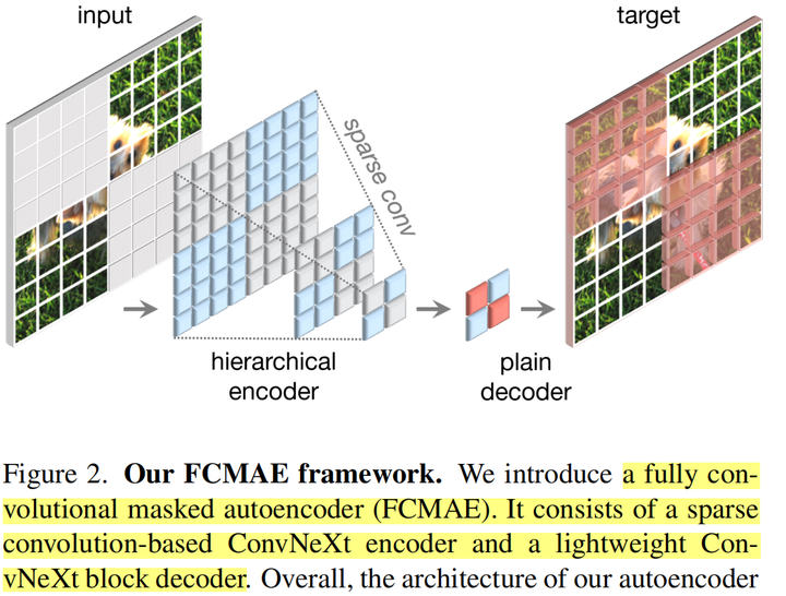 追一追"新鲜出炉"的ConvNeXt-V2 - 知乎