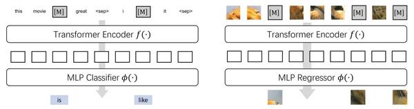 ICLR Spotlight｜卷积网络上的首个BERT/MAE预训练，ResNet也能用 - 知乎