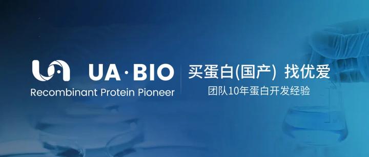 上新！蛋白快速去糖基化酶：Fast PNGase F Kit - 知乎