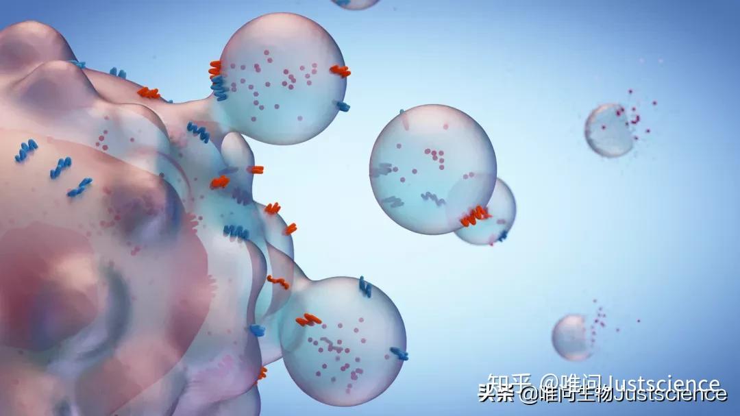 外泌体小知识（一） - 知乎