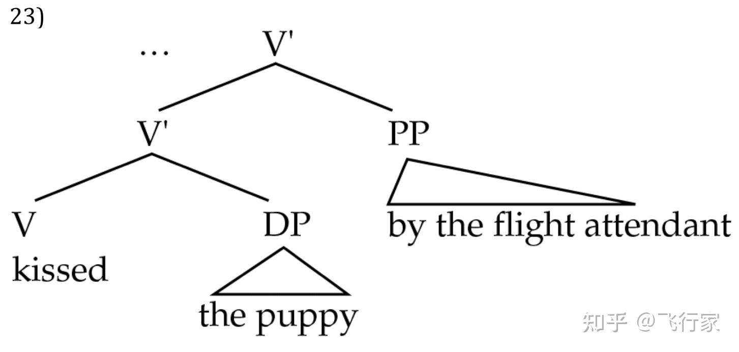 如何根据X-bar理论在句法树上处理被动结构？ - 知乎