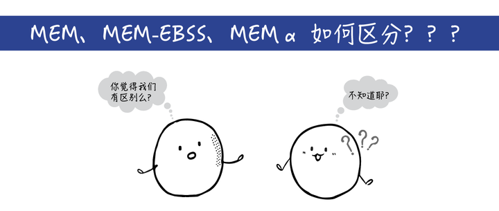 MEM、MEM-EBSS、MEMα 如何区分？？？ - 知乎