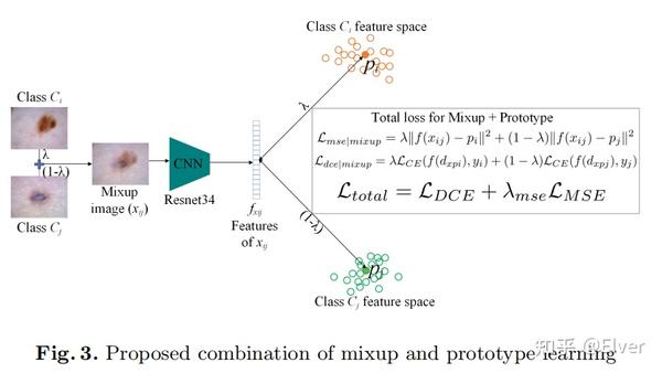 Long-tailed Image classification医学文章总结 - 知乎