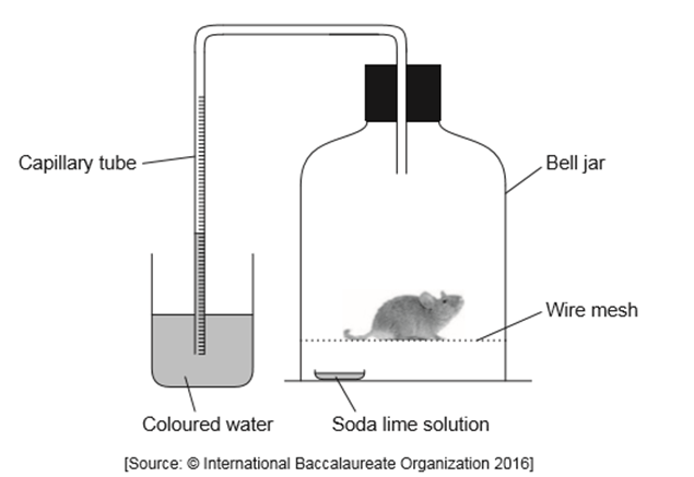 2.8 Cell respiration 细胞呼吸 - 知乎