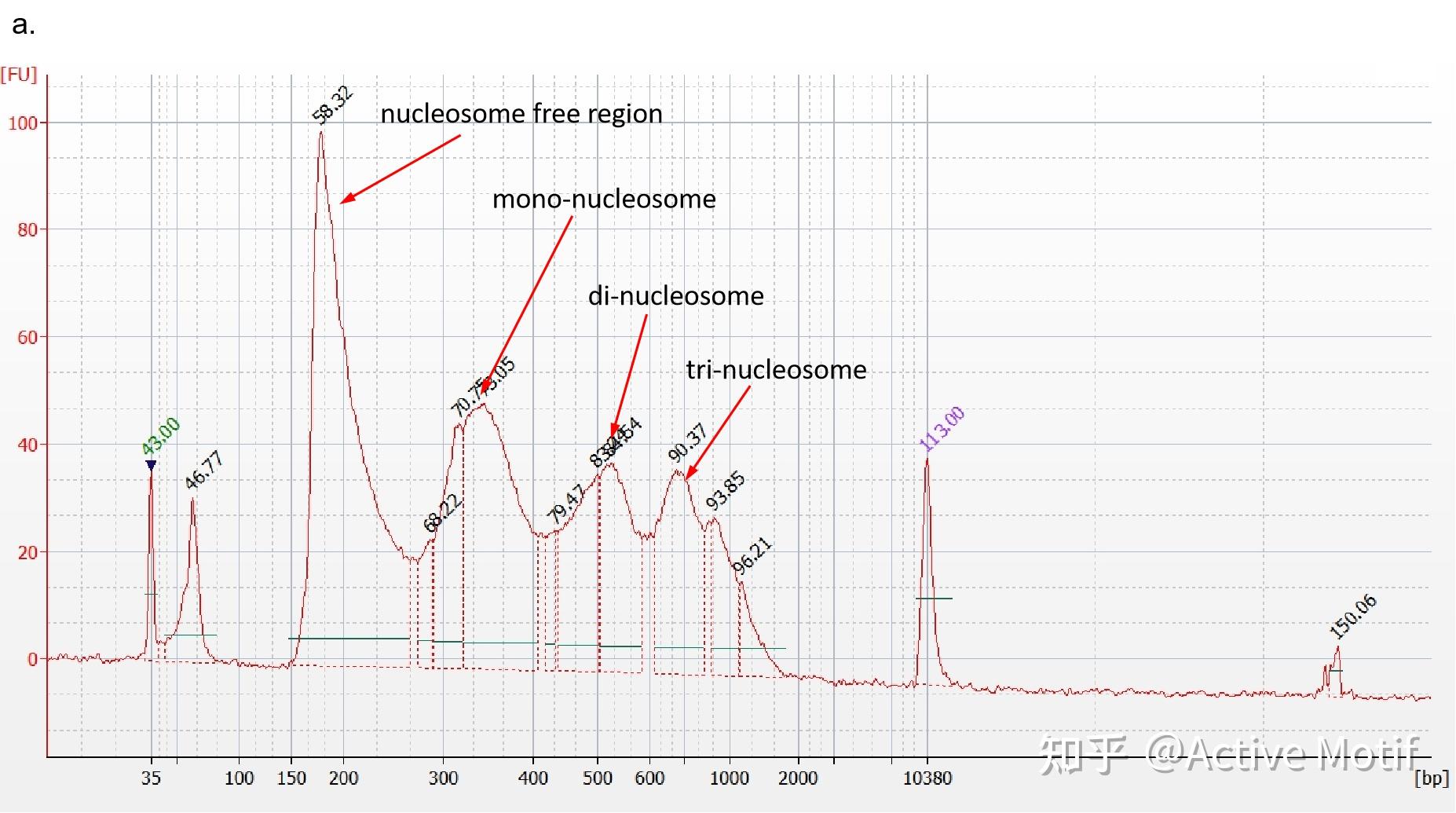 ATAC seq文库质量控制 - 知乎