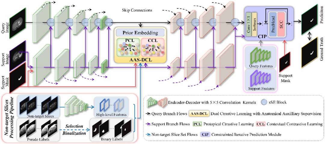 ECCV 2022 | 双重对比学习和解剖辅助监督的少样本医学图像分割（开源） - 知乎