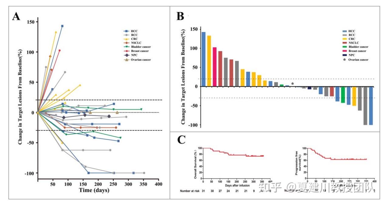 夏建川教授团队重磅研究：PD-1阻断激活的DC-CIK细胞在晚期实体肿瘤患者中的安全性和活性 - 知乎