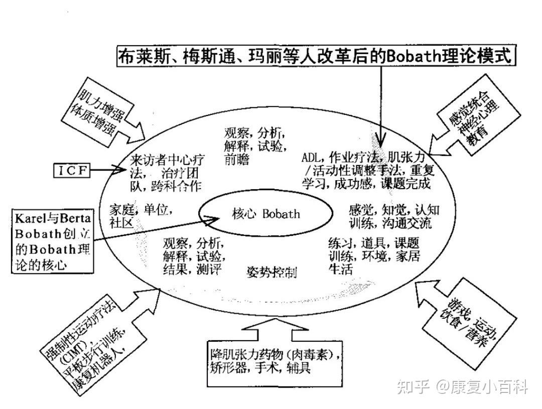 新bobath与旧bobath的区别在哪些地方？ - 知乎
