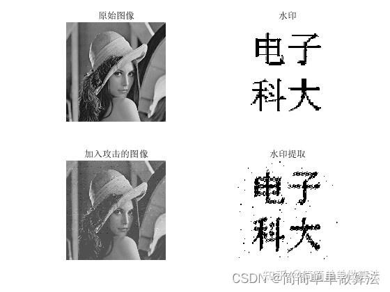 基于二维CS-SCHT变换和LABS方法的水印嵌入和提取算法matlab仿真 - 知乎