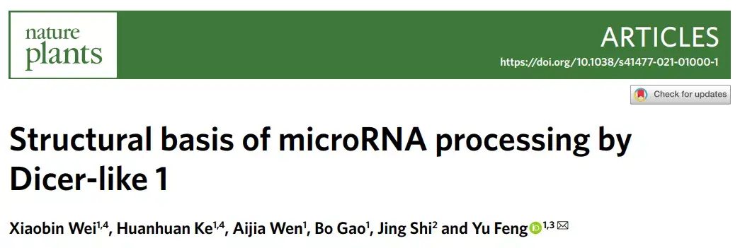 Nature Plants | 浙大冯钰课题组揭示植物microRNA加工的分子机制 - 知乎