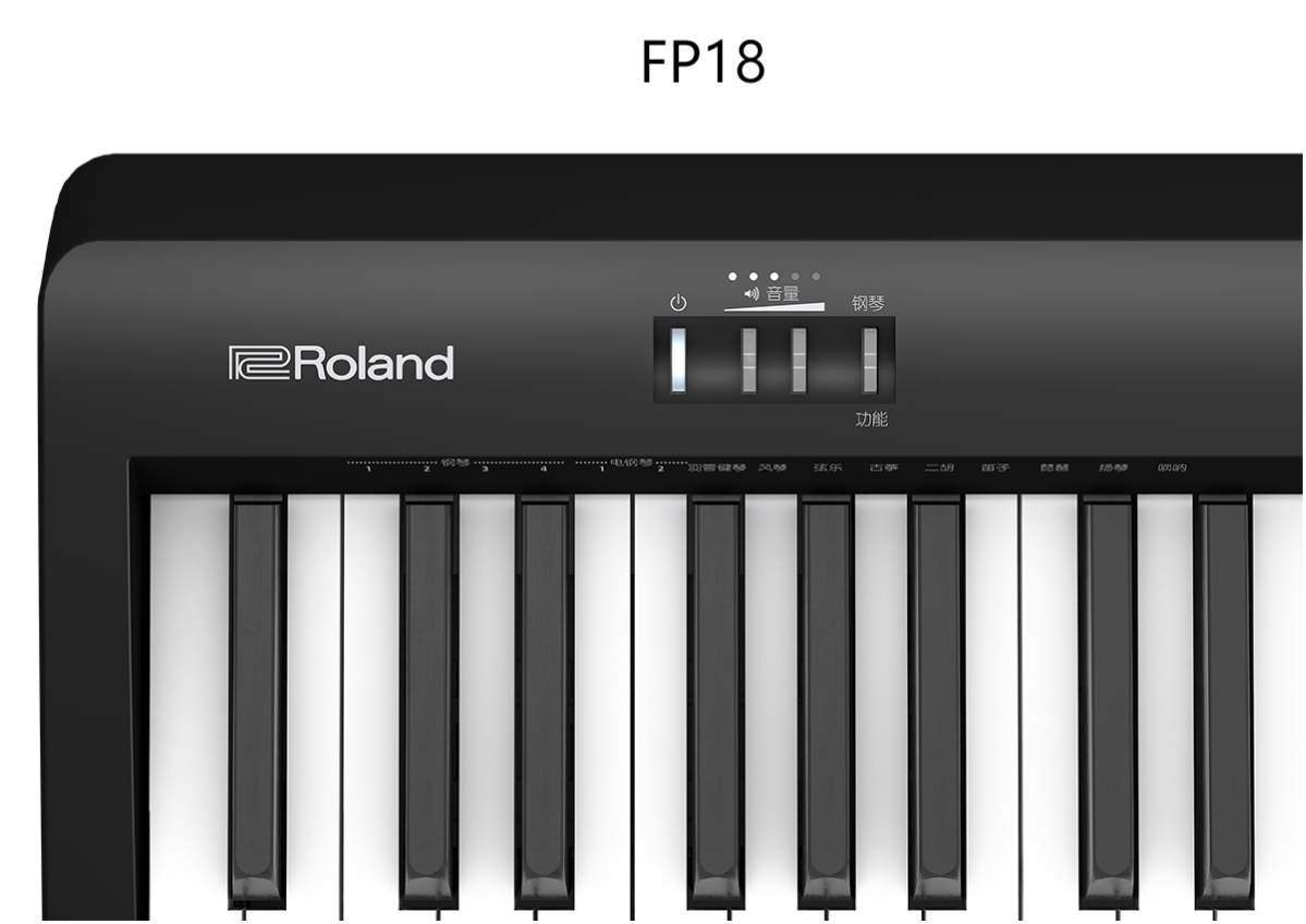 罗兰FP 18 or 罗兰FP 30X？ - 知乎