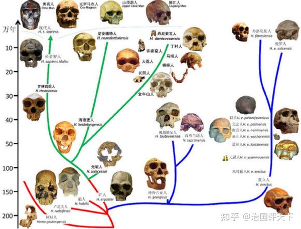 智人之间的关系 知乎