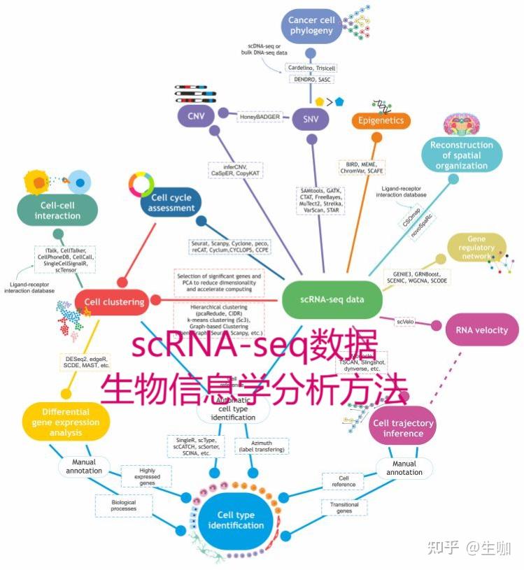 scRNA-seq 能够分析哪些内容？ - 知乎