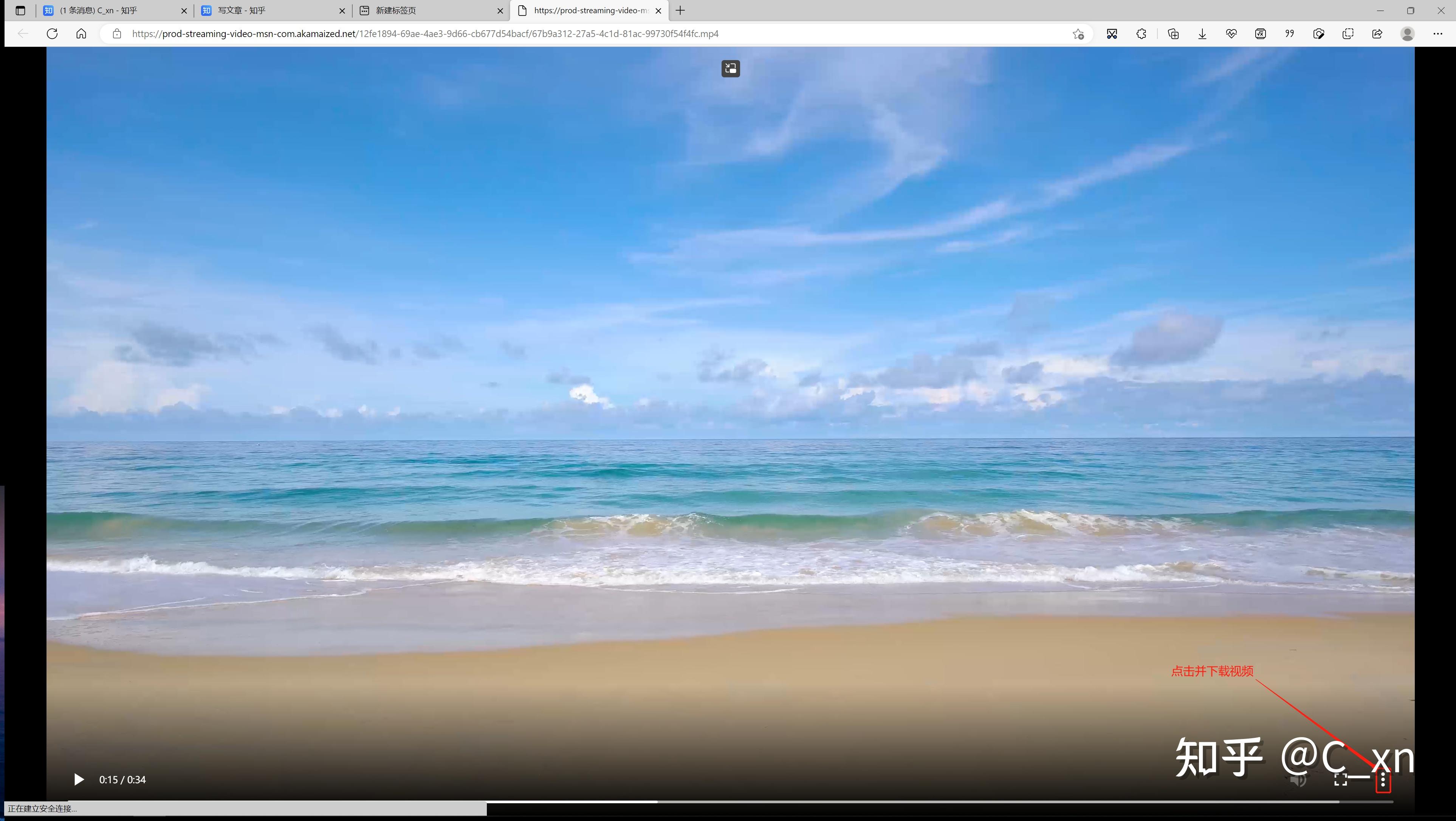 Microsoft Edge浏览器视频/图片背景获取方法 - 知乎
