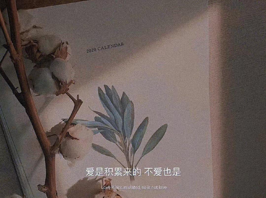 普普通通却又很伤感的高级文案 知乎