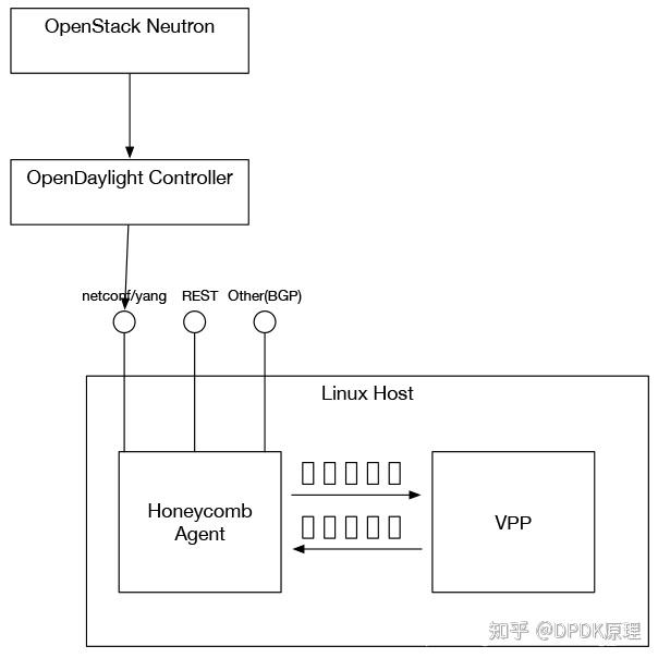 浅谈Vector Packet Processing（VPP） - 知乎