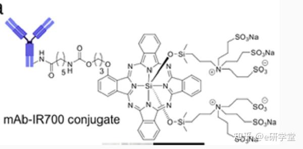 深度盘点FDA批准用于癌症治疗的抗体偶联药物（ADC） - 知乎