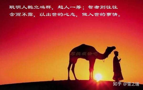 聪明不是错，关键要聪明地利用好自己的聪明！ - 知乎